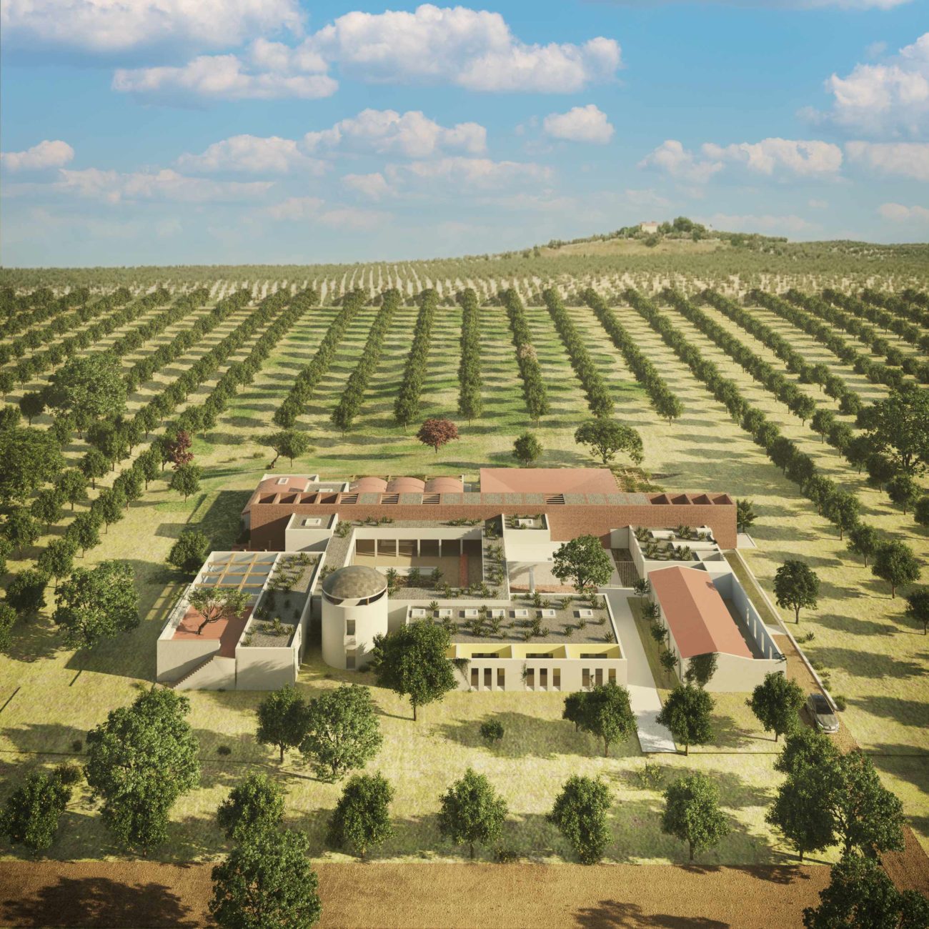 Paramos House - CNLL