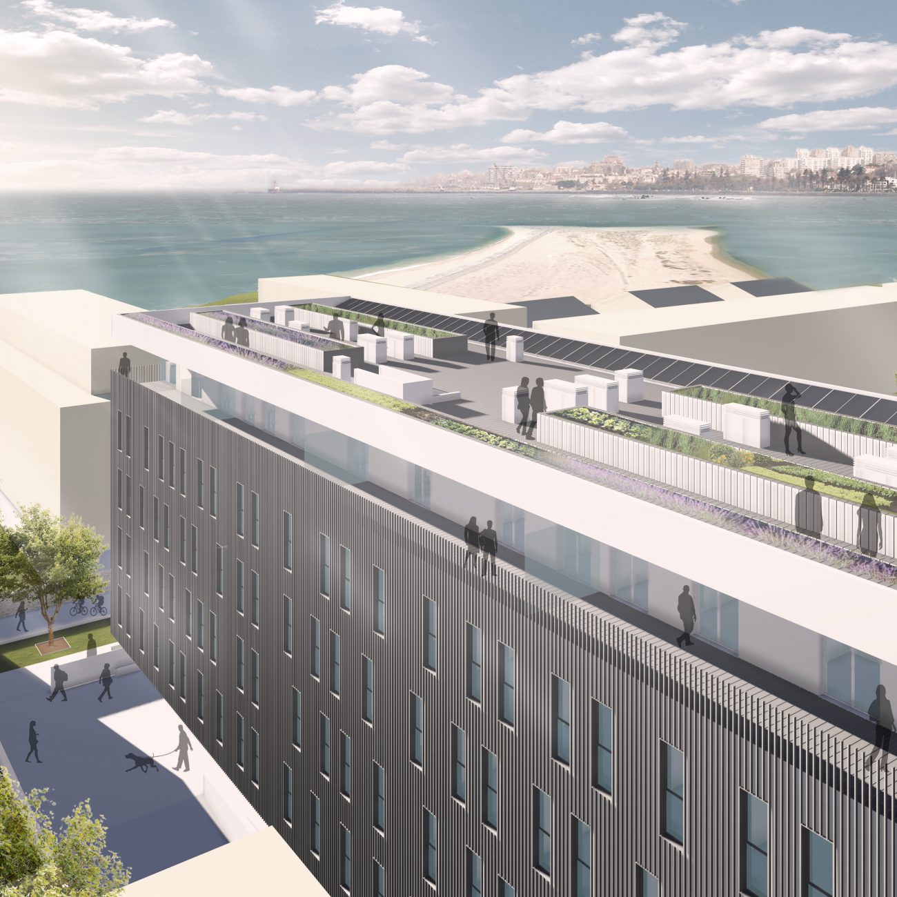 Paramos House - CNLL