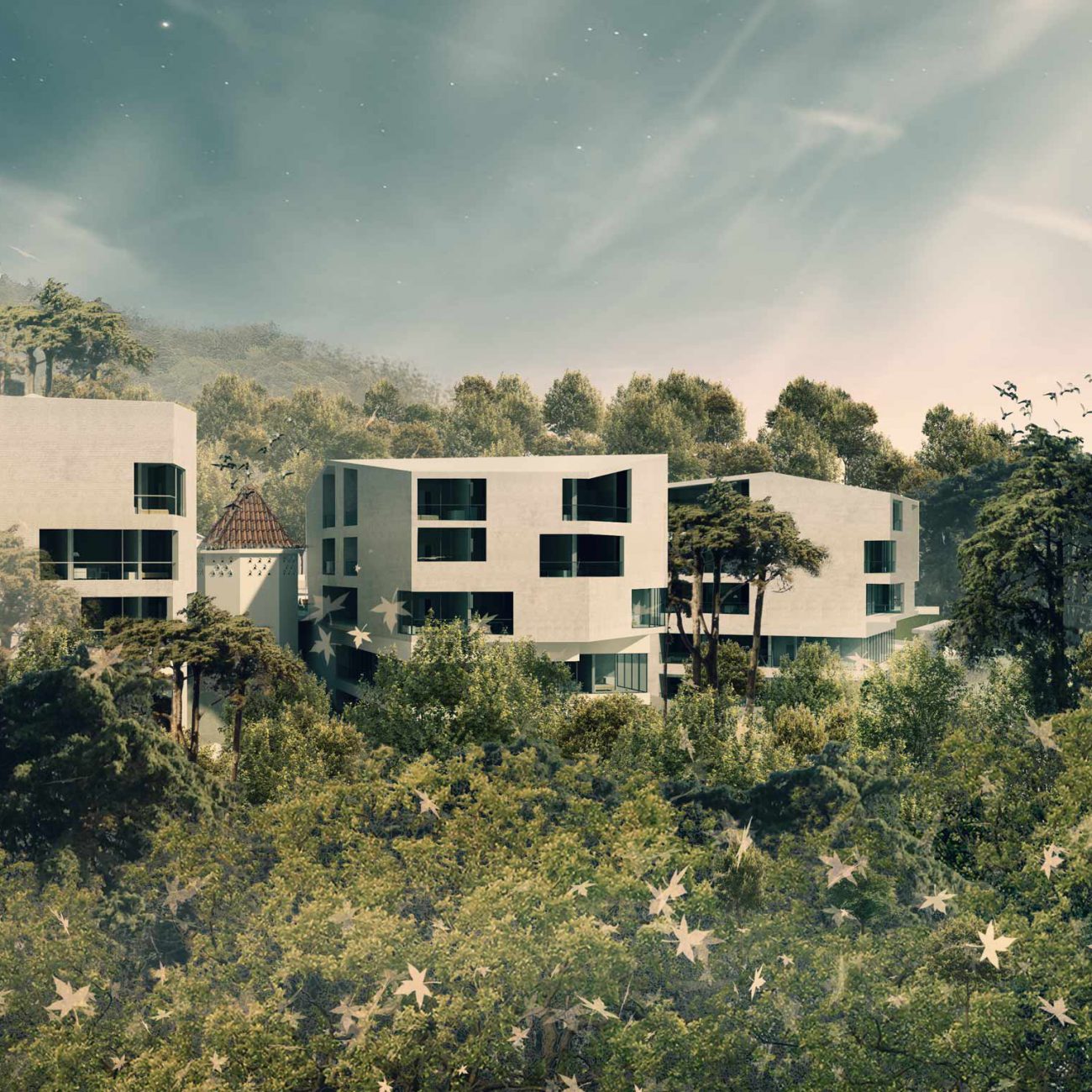 Paramos House - CNLL